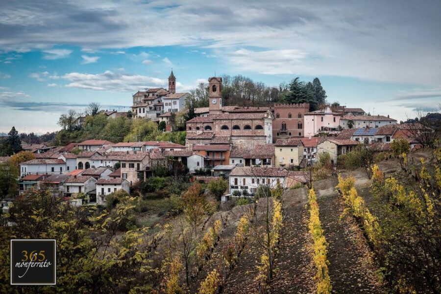 Degustazione di vini del Monferrato con visita della cantina - A Scenic Tasting in the Heart of the Hills