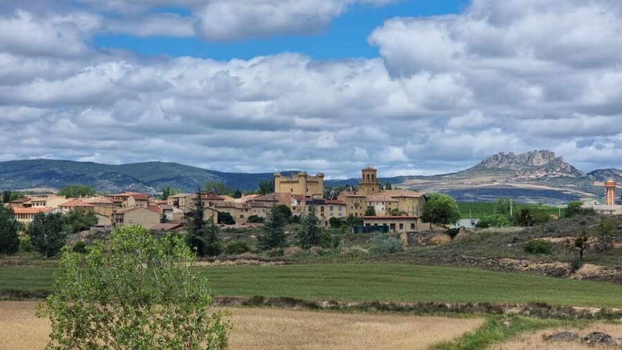 Delivery Bike Rental and Guided Tours in La Rioja - The Ride Options: Self-Guided, Guided, and Private Tours