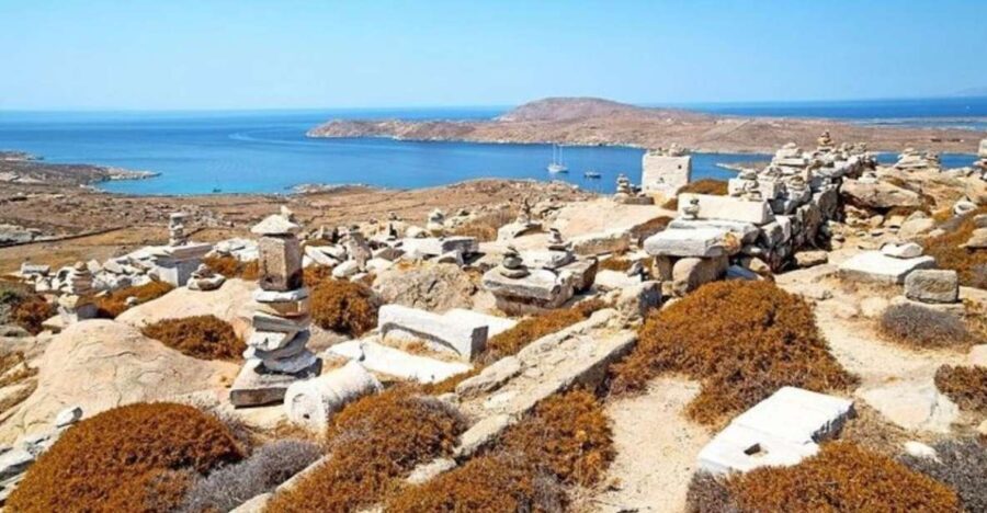 Delos and Mykonos One Day Cruise from Naxos - What’s Included and What’s Not
