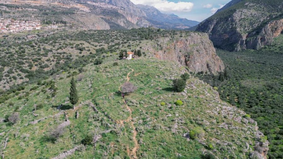 Delphi: Easy Hike on Ancient Path through the Olive Groves - The Experience: What to Expect