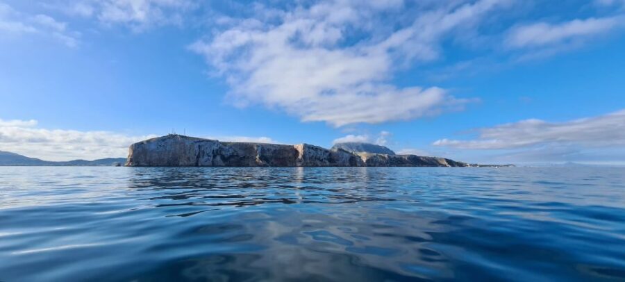 Denia: Cabo San Antonio Snorkeling Tour - Final Thoughts: Is It Worth It?