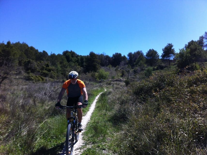 Dénia: Electric Mountain Bike Tour around the Montgó mountain - The Sum Up