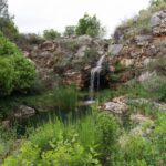 Denia: L'Albarda Garden Entry Ticket - A Detailed Look at L’Albarda Garden