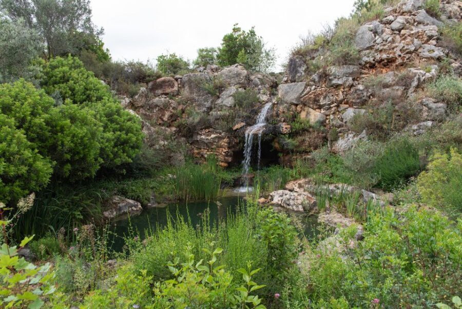 Denia: L'Albarda Garden Entry Ticket - A Detailed Look at L’Albarda Garden