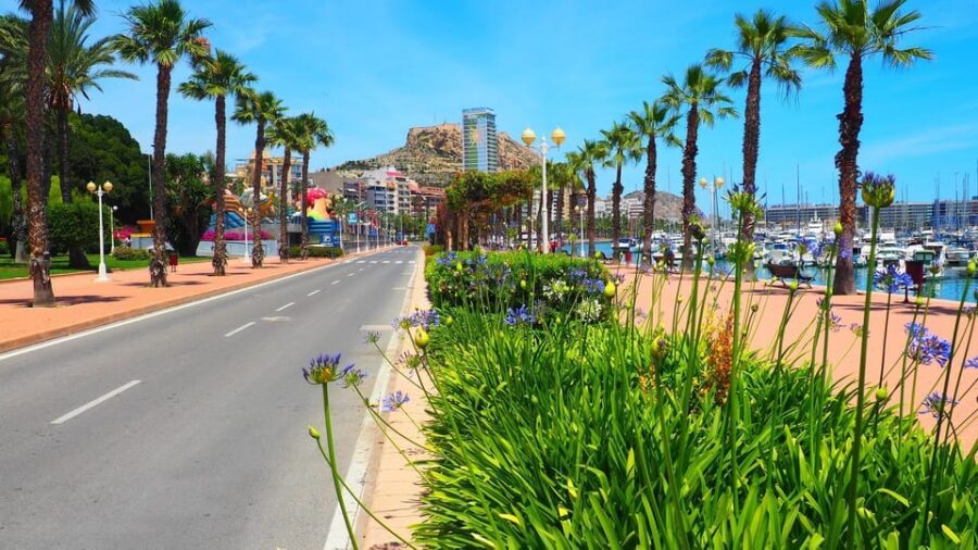 Denia - Old Town Private Walking Tour - The Vibrant Els Magazinos Food Court
