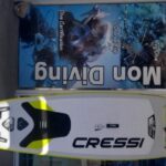 Dénia: Paddle Surfboard Rental - The Sum Up