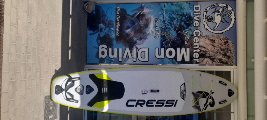 Dénia: Paddle Surfboard Rental - The Sum Up