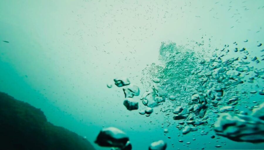 Denia: The fascination of diving on the Costa Blanca - The Sum Up