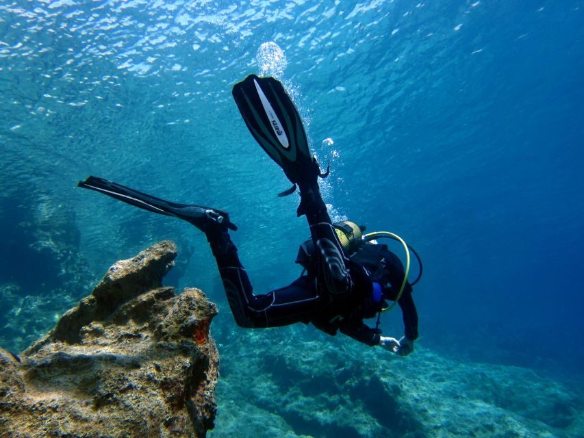 Didim: Scuba Diving Experience w/Hotel Pickup & Lunch - The Realities Behind the Reviews