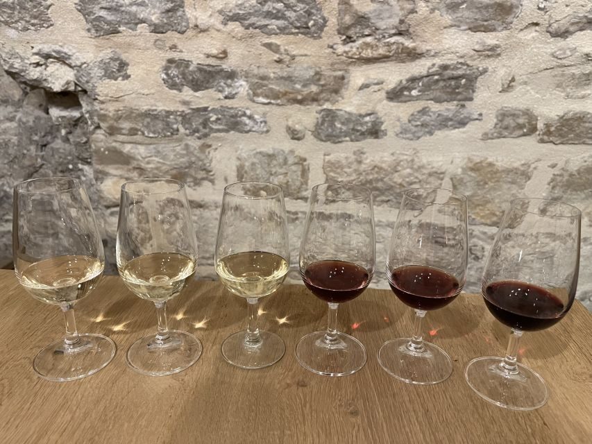 Dijon: Cheese and Burgundy Wine Tasting Workshop - The Significance of the Setting