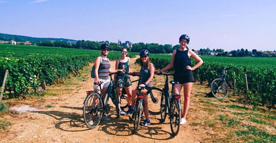 Dijon: Half-Day Guided Gourmet Bike Tour - What to Expect on the Ride