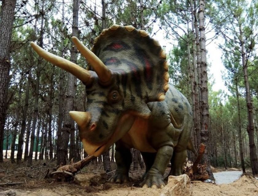 Dinosaurs Park - Family Half day tour - What the Tour Offers in Terms of Value