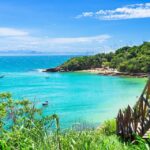 Discover Búzios Beaches and Boat Tours - Leaving from Búzios - Final Thoughts: Who Will Love This Tour?