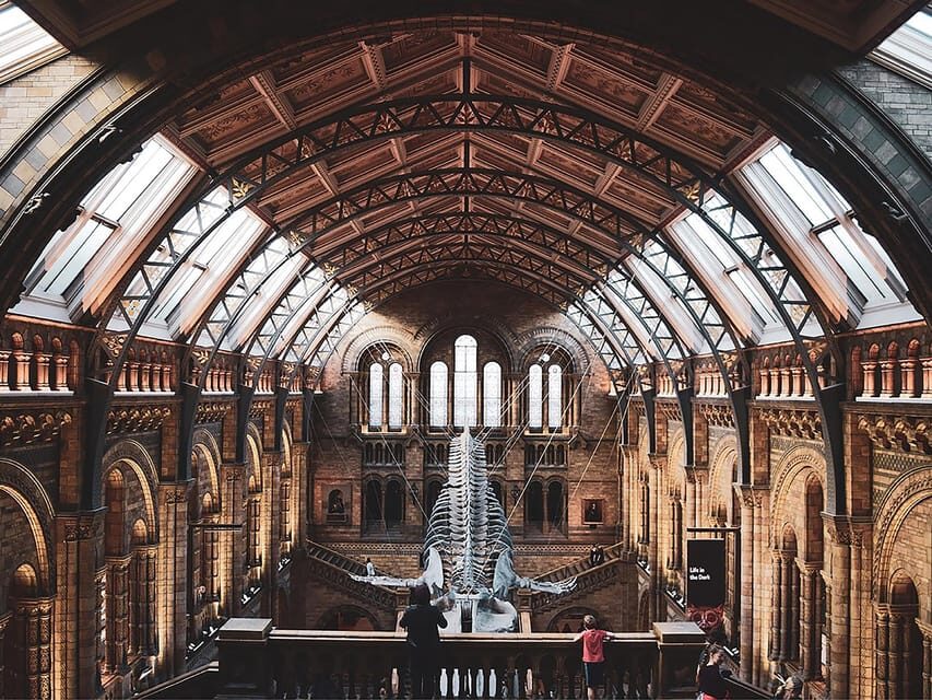 Discover Evolution at the Natural History Museum - A Rock-Solid Introduction to the Natural History Museum