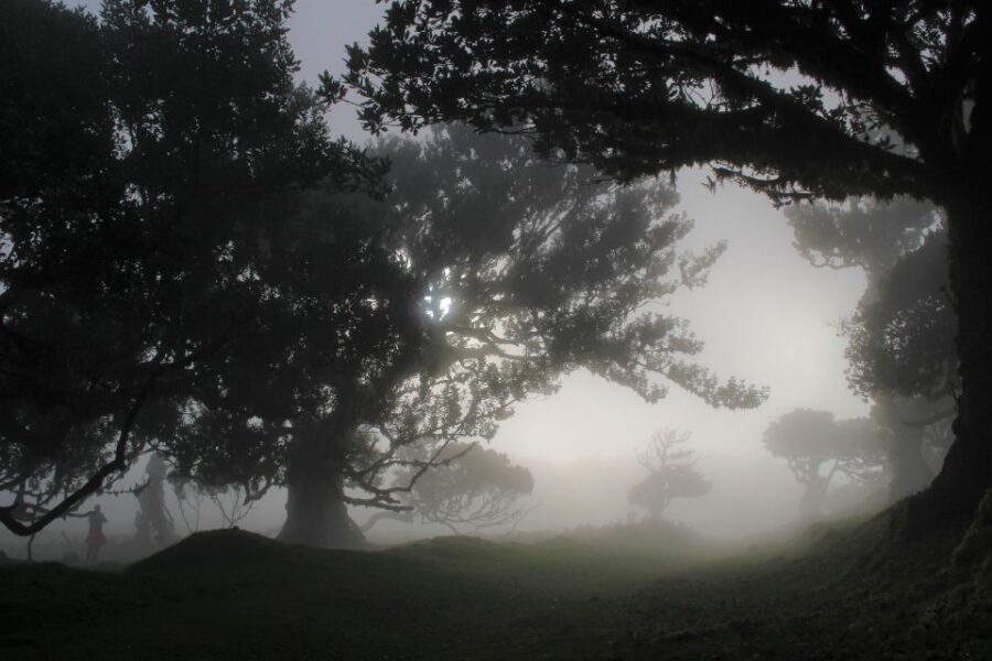 Discover Madeira's idyllic hikes & beauty on foot & wheels! - What’s Included and What Not