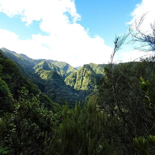 Discover one of our island's levadas in a relaxing way? - What to Expect from the Route