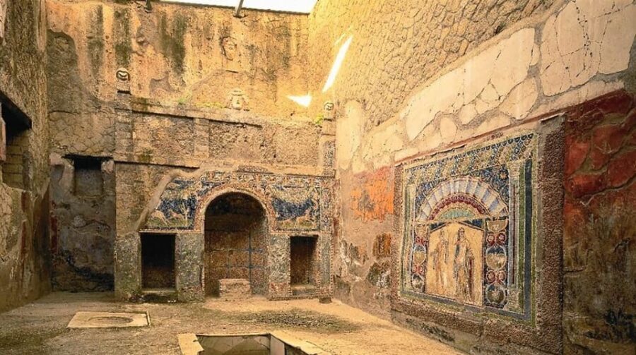 Discover Pompeii, Herculaneum and taste the wines of Vesuvius in a unique experience - The Vesuvius Vineyard Experience