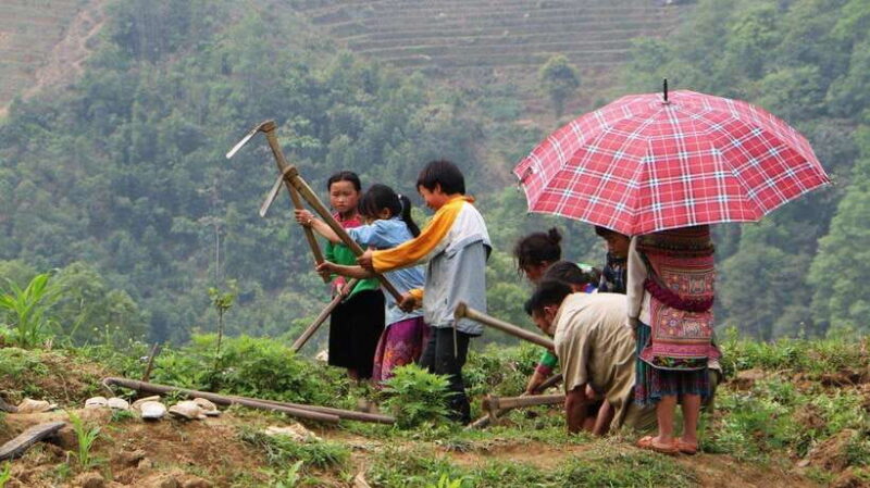Discover Sapa Trekking with optional Cultural Homestay - Key Points