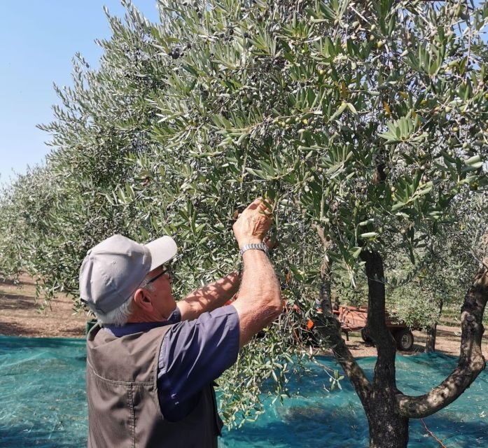 Discovering nature and flavors of Pantalica - Frequently Asked Questions