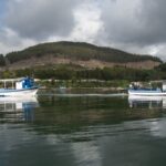 Discovering Vigo ria and mussels in the traditional boat - An In-Depth Look at the Vigo Ría and Mussel Tour