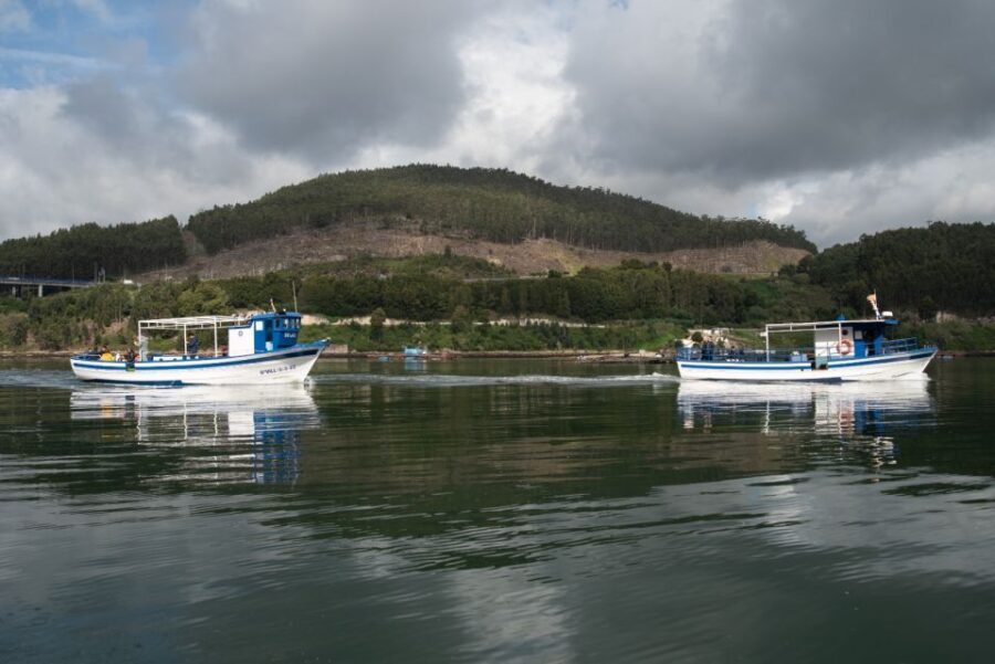 Discovering Vigo ria and mussels in the traditional boat - An In-Depth Look at the Vigo Ría and Mussel Tour
