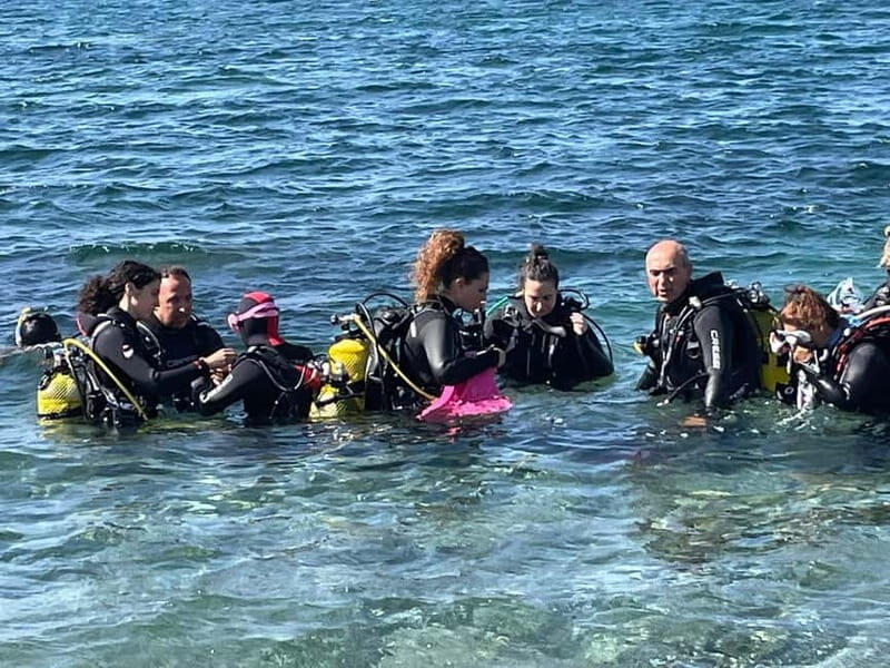 Diving - Breaking Down the Experience