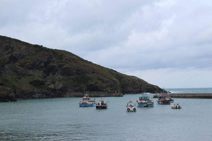 Doc Martin Tour - Why This Tour Stands Out
