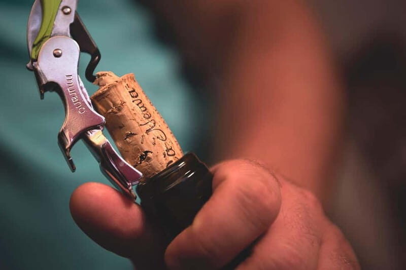 Dogliani: Tasting of 7 Wines in the Heart of the Langhe - An In-Depth Look at the Dogliani Wine Tasting Experience
