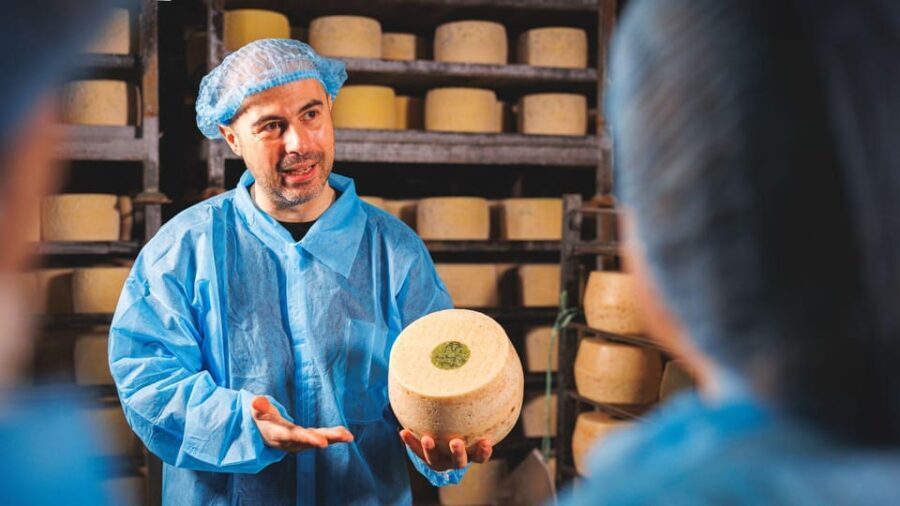 Dolianova: visit and workshop in a cheese factory - Who Should Consider This Tour?