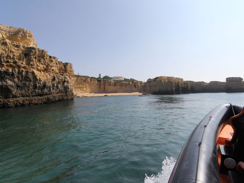 Dolphin Safari and Cave Tour in Vilamoura - Why This Tour Offers Good Value