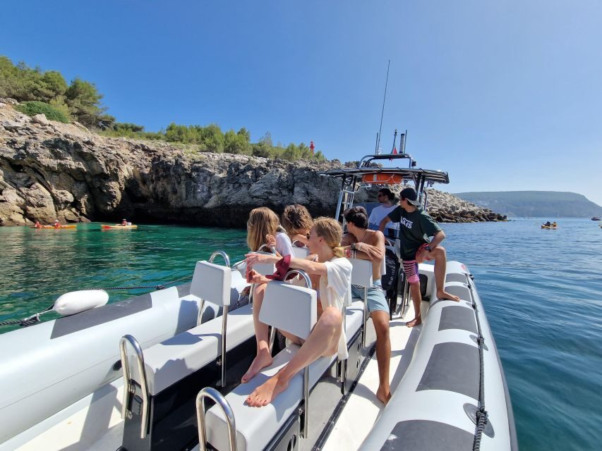 Dolphin Watching: Sesimbra / Arrábida Natural Park - The Sum Up