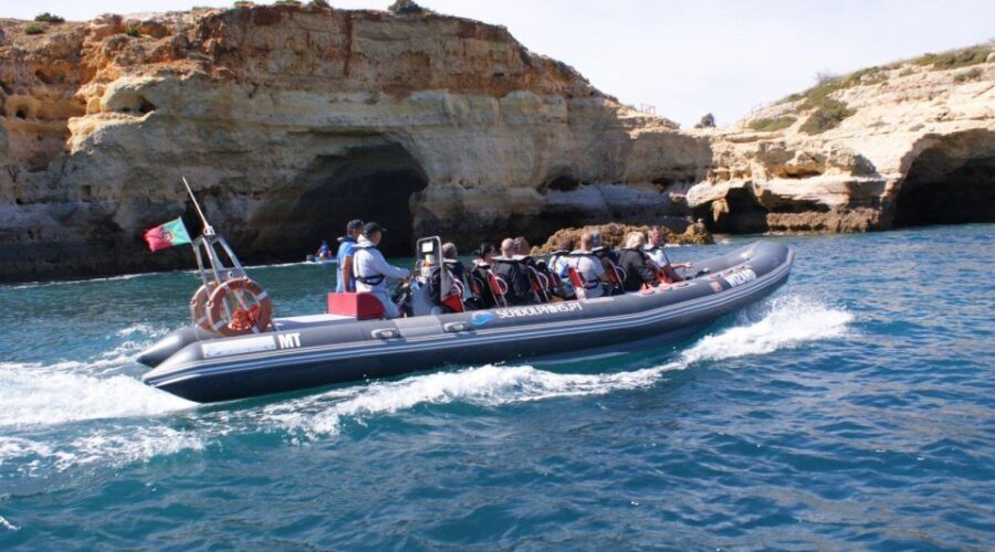 Dolphins Watching - Portimão - The Value of the Experience