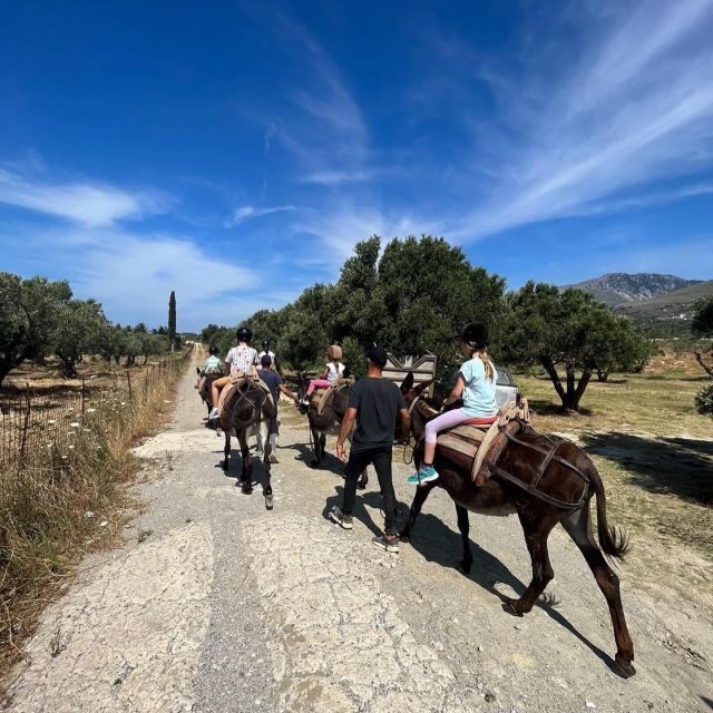 Donkey Riding - Coastline Ride - What the Tour Includes and What to Expect