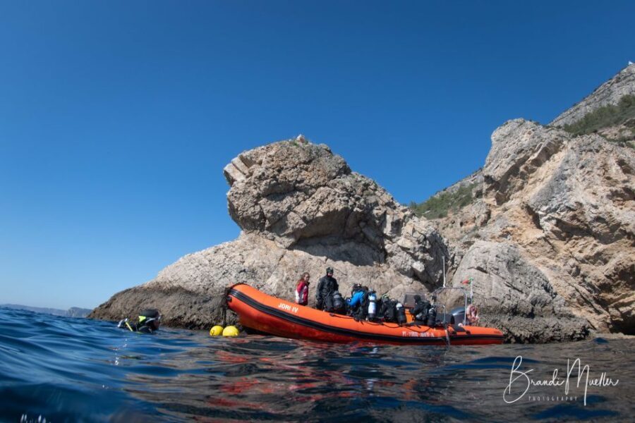 Double Scuba Dive on a Marine Reserve - Final Thoughts
