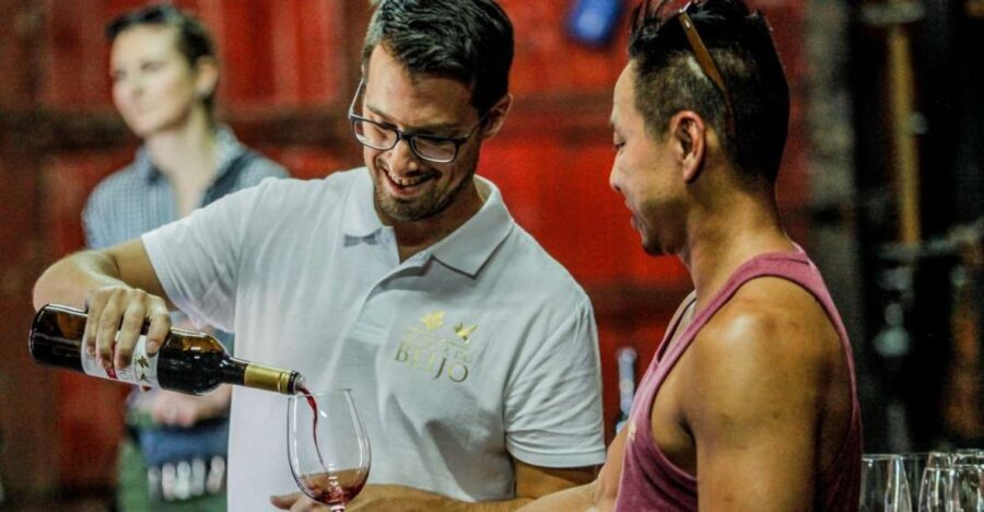 Douro: Classic Wine Tasting with Guided Tour - What to Expect from the Tour