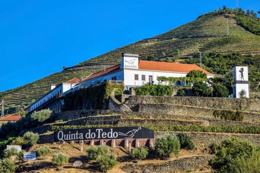 Douro: easy walking + wine tasting + Picnic + visit - The Sum Up