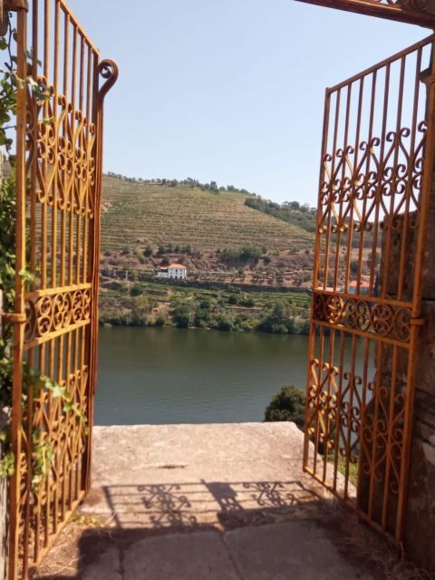 Douro - Pacheca: luxury walking with full lunch and wines - What Makes This Tour Stand Out?