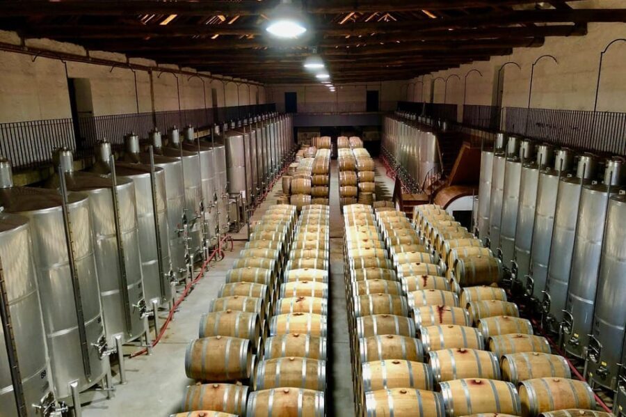 Douro - tour to explore the cradle of Barca Velha wine - Final Thoughts