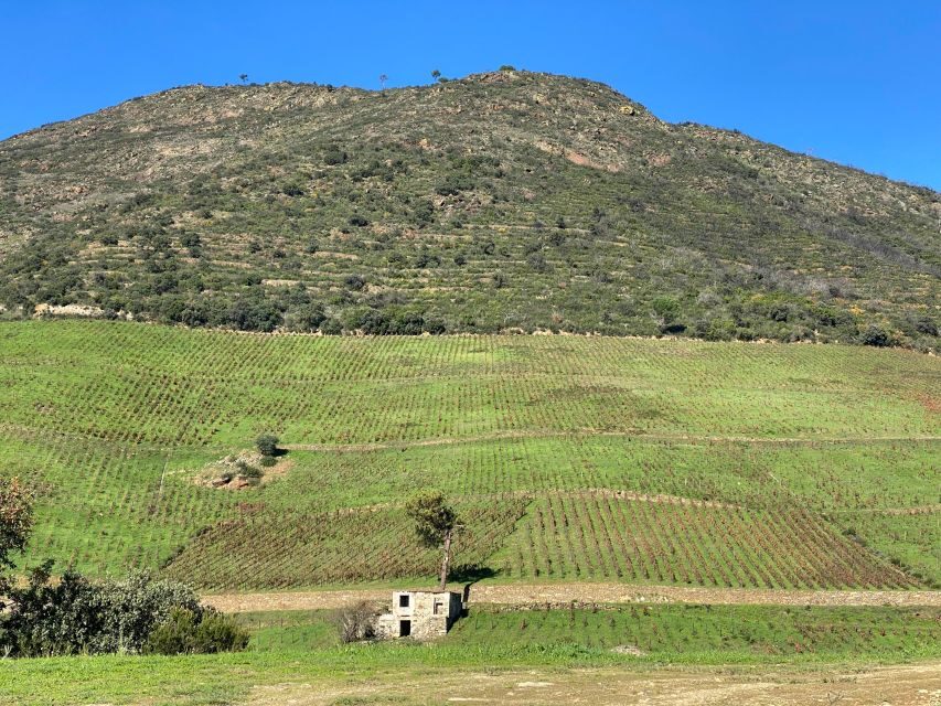 Douro - tour with train, walking, picnic and wines - The Itinerary in Detail