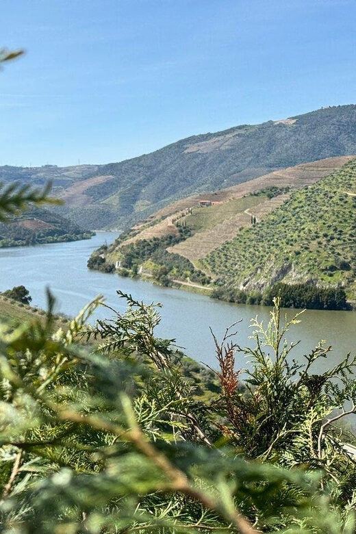 Douro Valley Full Day Tour From Lisbon - An In-Depth Look at the Tour
