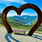 DOURO VALLEY: Premium Wine Tour, Winery Lunch & Private Boat - Is This Tour Worth It?