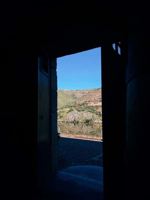 Douro Valley: PRIVATE TOURS with 1 Wine Tasting - A Deep Dive into the Douro Valley Private Tour Experience