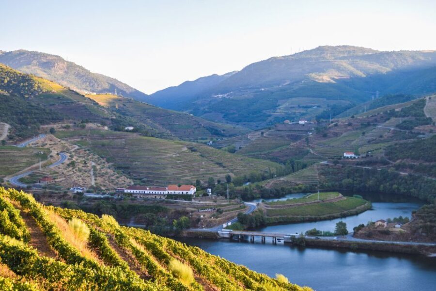 Douro Valley: Quinta do Tedo Wine Experience with Picnic - Authentic Experiences & Real Guest Feedback