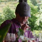 Douro Valley: Quinta do Tedo Winery Tour and Tasting - The Value of the Tour: Breaking Down the Cost
