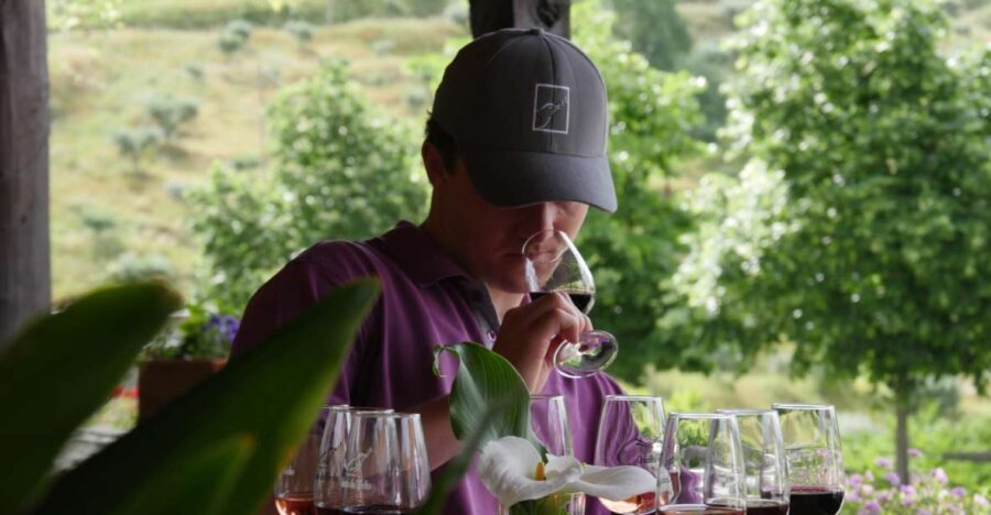 Douro Valley: Quinta do Tedo Winery Tour and Tasting - The Value of the Tour: Breaking Down the Cost
