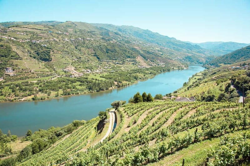 Douro Valley: Real Small-Group, Wine Tasting, Lunch & Boat - The Experience in Context: Why It’s a Good Value
