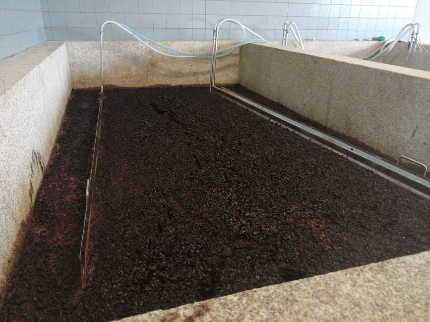 Douro Valley Wine Tour With Traditional Lunch - What Makes This Tour Special