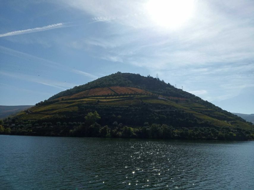 Douro Valley Winery Day Trip with River Cruise - The Value of This Tour