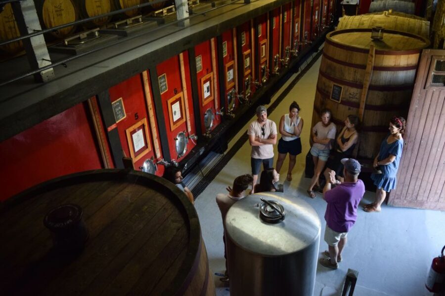 Douro Valley: Winery Tour at Quinta do Tedo and Tastings - Practical Tips for Visitors