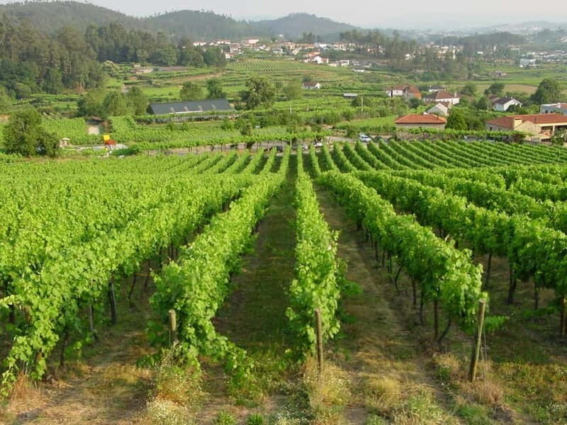 Douro & Vinho Verde Private Tour - Practical Aspects and Value